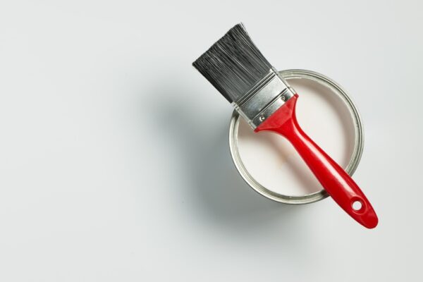 What's in Your Paint? Understanding Ingredients | SISU Painting